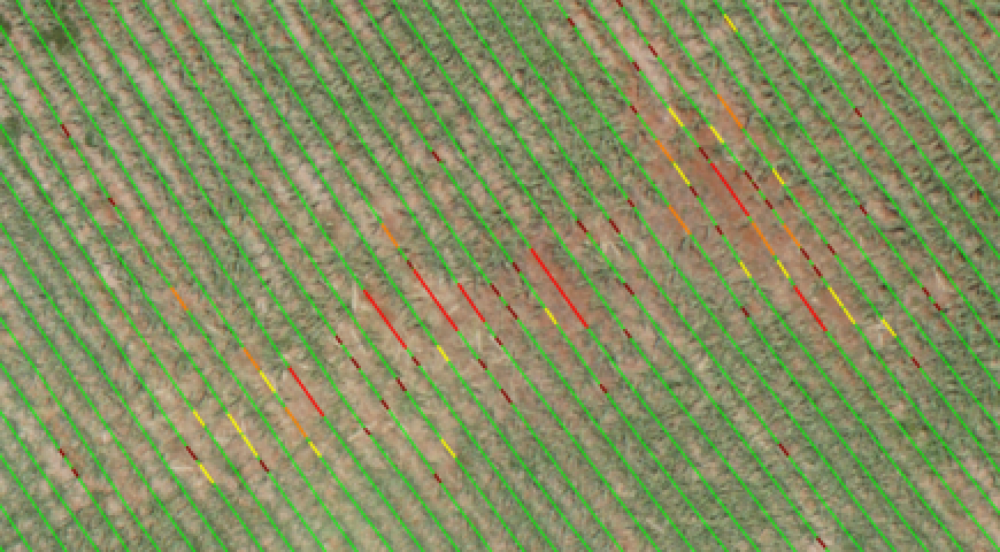 Planting Failures - Alvaz