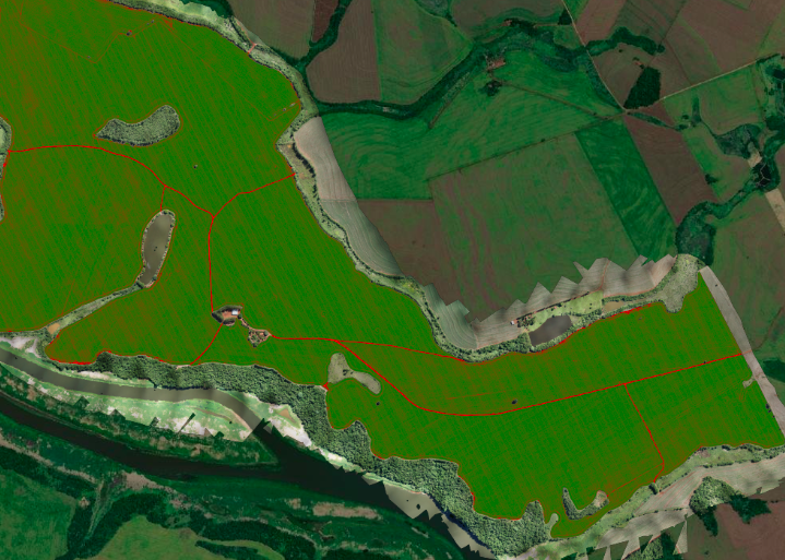 Planting Failures - Alvaz